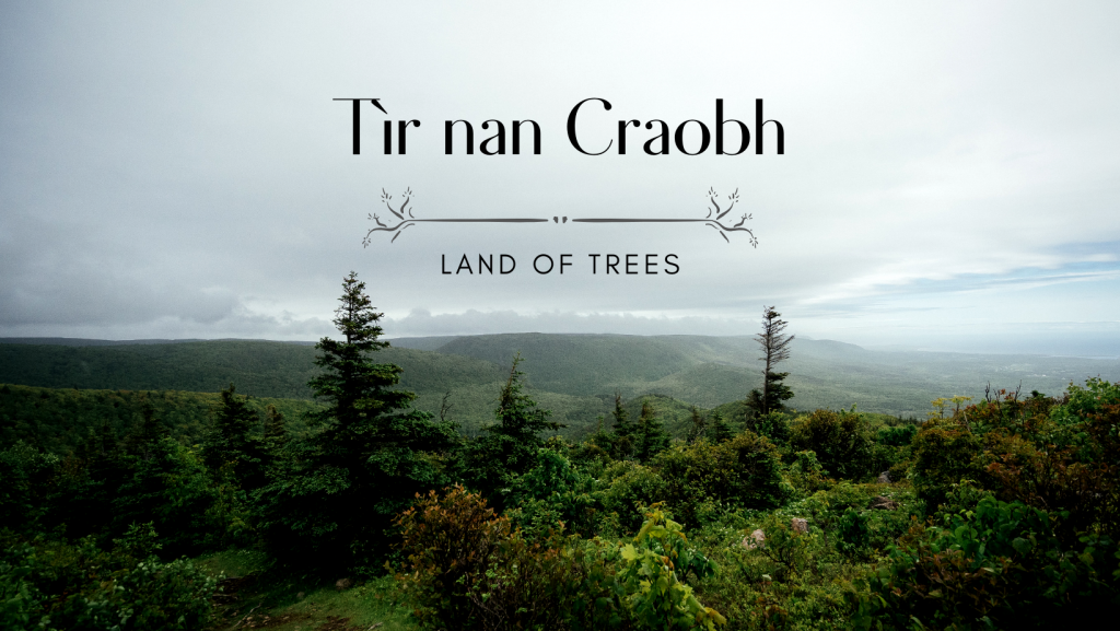 Dachaigh - Tìr na Craobh